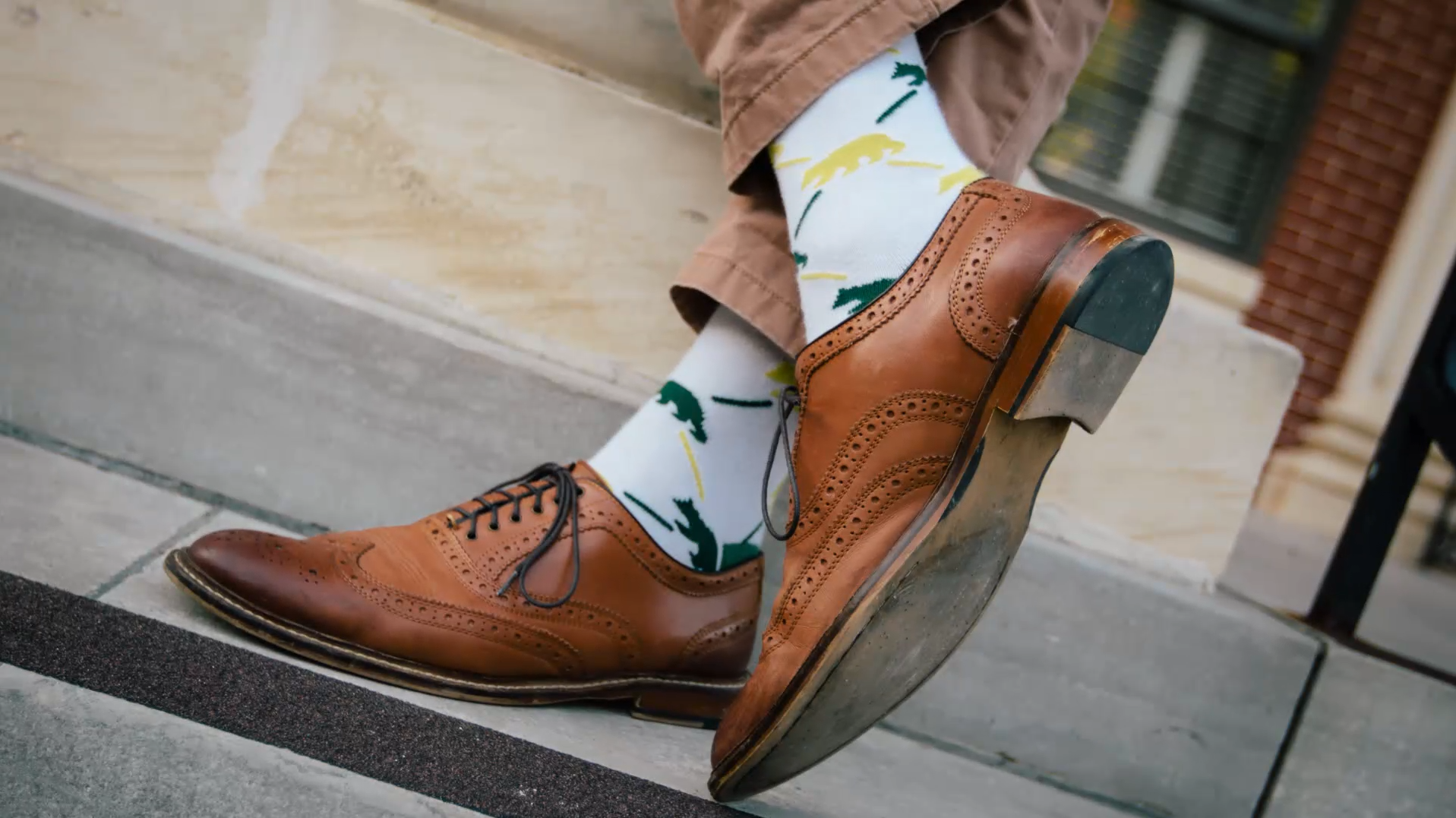 Dapper Bear Clothiers